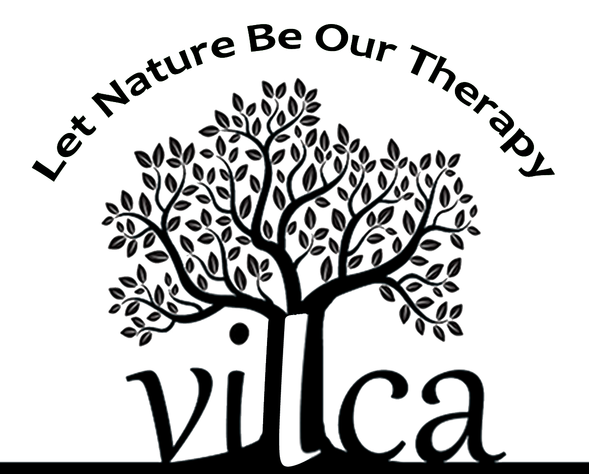 Discover and uplift yourself everyday with our products – Vilca